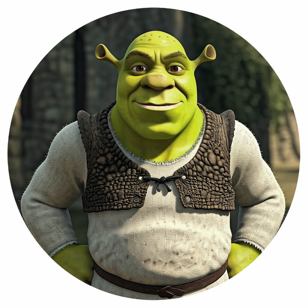 Shrek-Inspired Red Nose Day Cake Sale at House of Marbles